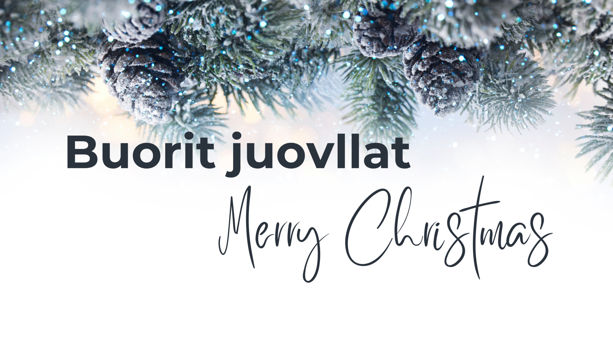 ISFI juovlabasi áigemearit | International Sámi Film Institute