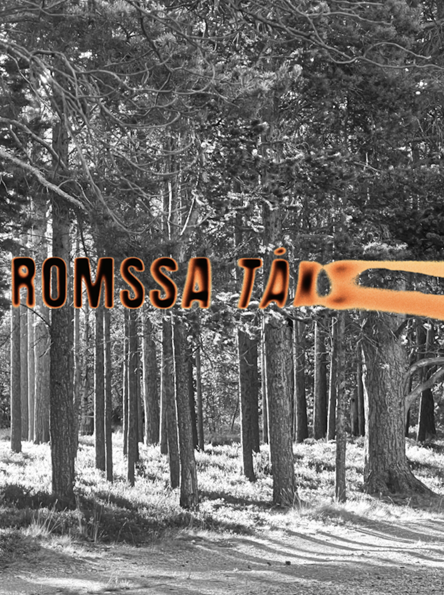 ROMSSA TÁKSI Receives Production Grant | International Sámi Film Institute